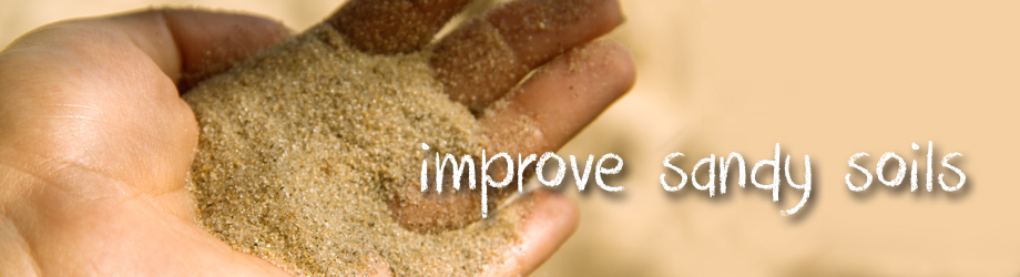 Improve Sandy Soils For Planting Searles Gardening